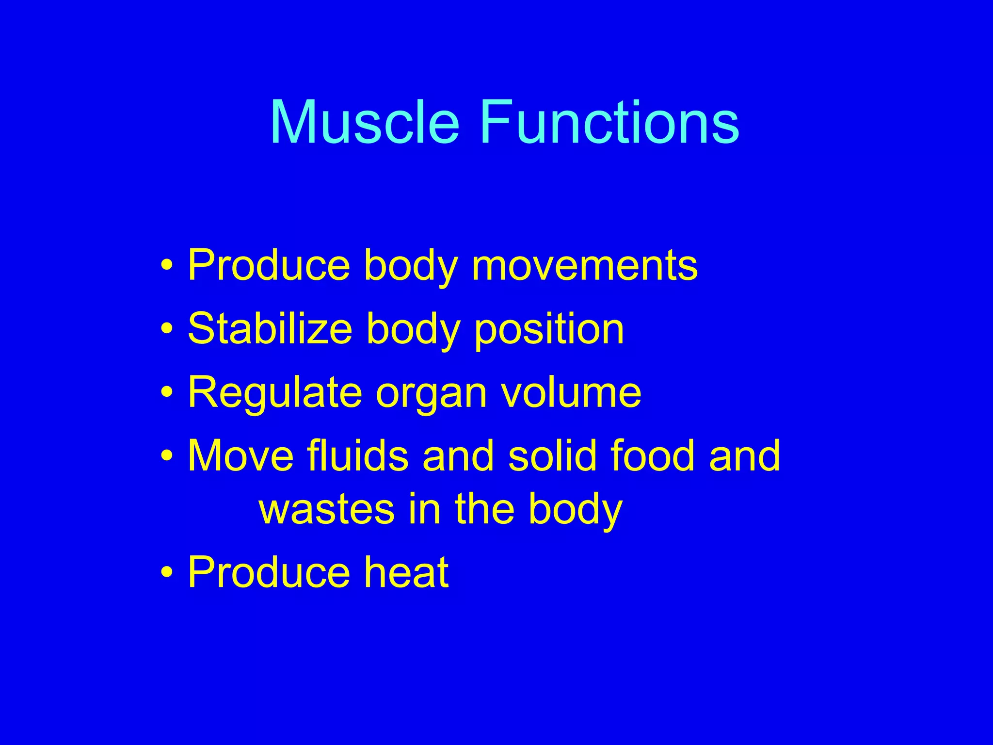 Muscle Contraction I.ppt