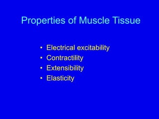 Muscle Contraction I.ppt | Biological Sciences | Science