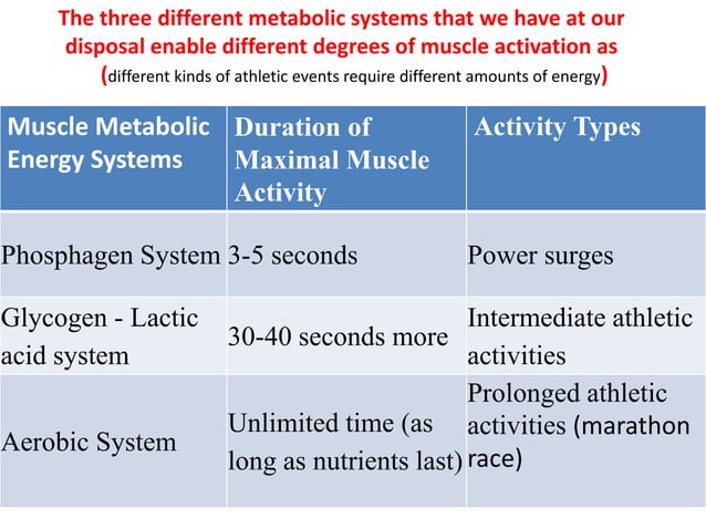 Muscle contraction mechanism chirantan mandal | PPT