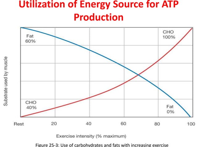 Muscle contraction mechanism chirantan mandal | PPT