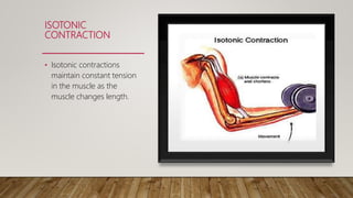 Muscle contraction ppt | PPTX