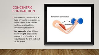 Muscle contraction ppt | PPT