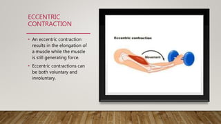 Muscle contraction ppt | PPTX