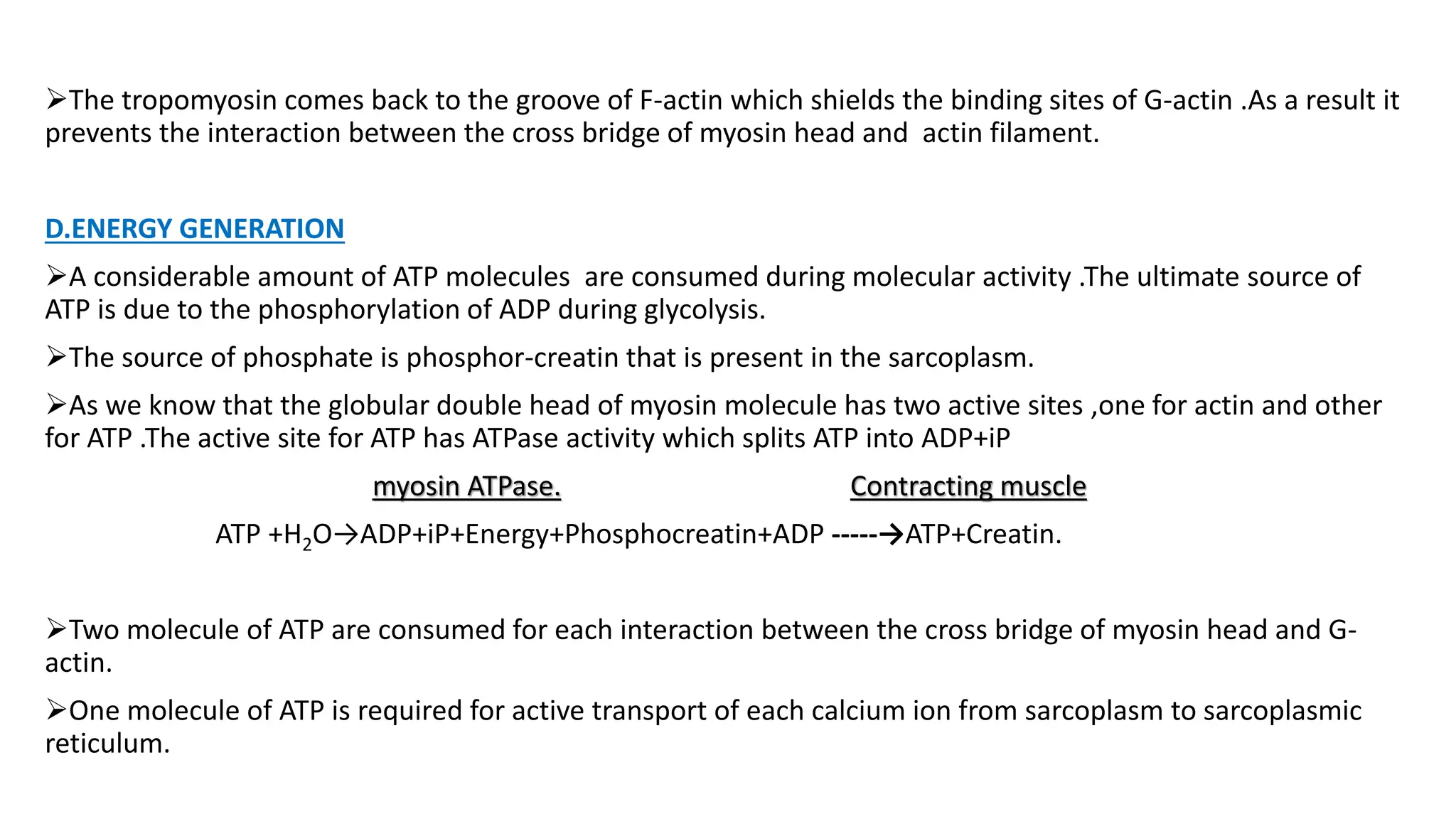 muscle contraction .pptx