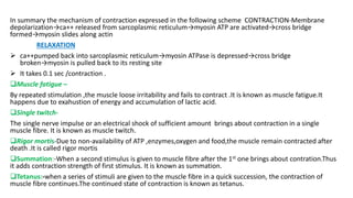 muscle contraction .pptx