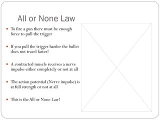 Muscle contraction types and all or none law | PPT