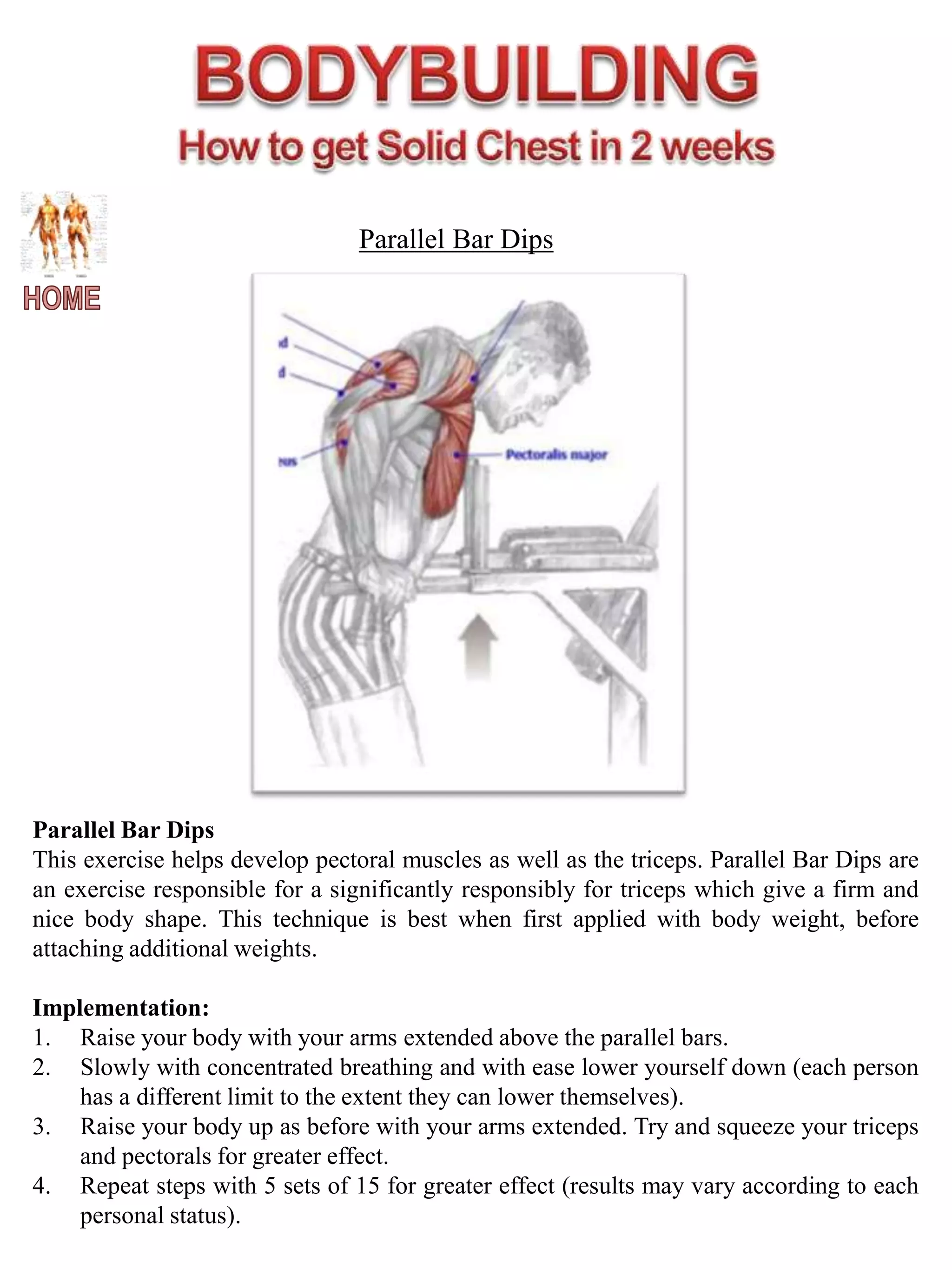 Muscle diagram website 2 | PPTX