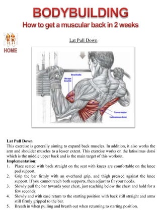 Muscle diagram website 2 | PPTX