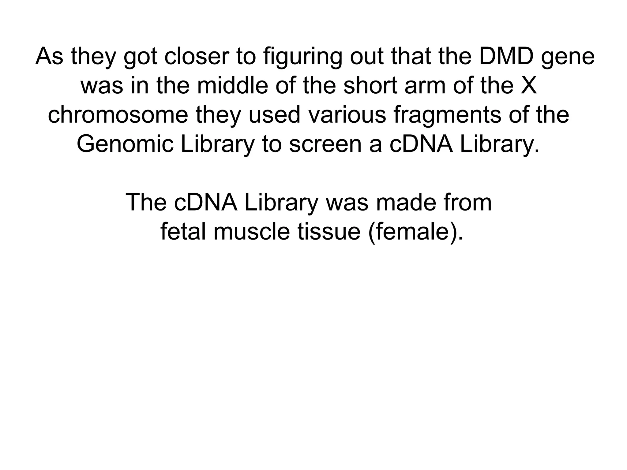 Muscle diseases brief explanation-06.ppt