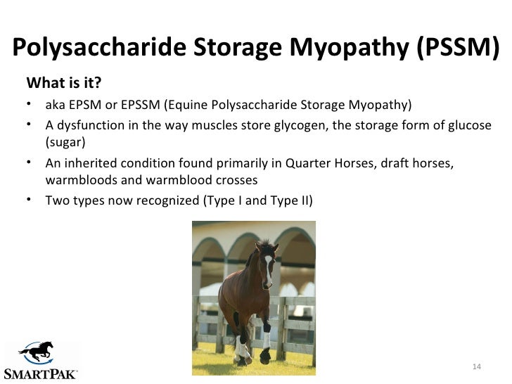Muscle disorders webinar may2012 final-7pm