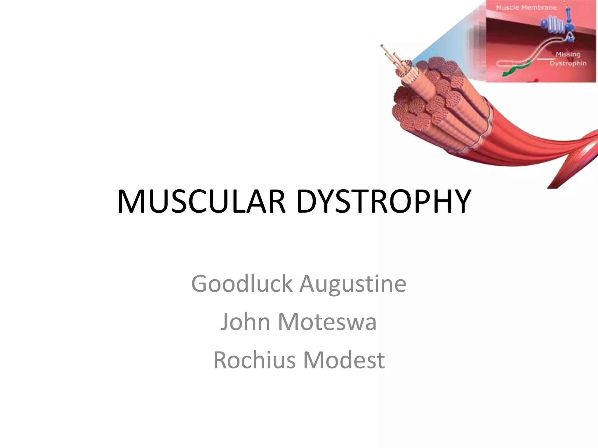 Muscle dystrophy | PPTX