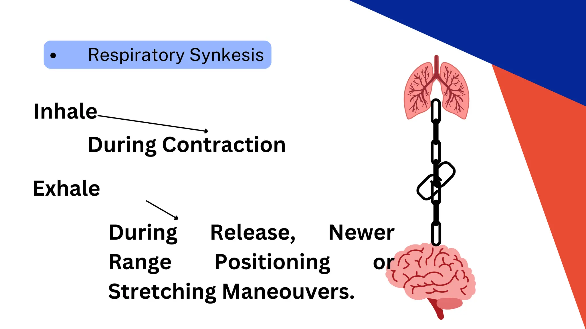 Muscle Energy Technique (MET) with variant and techniques. | PDF