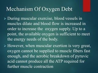 respirMUSCLE FATIGUE AND OXYGEN DEBT.pdf