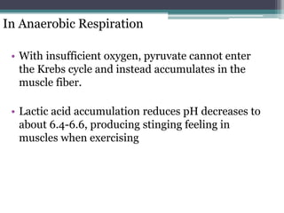 Muscle fatigue | PPTX