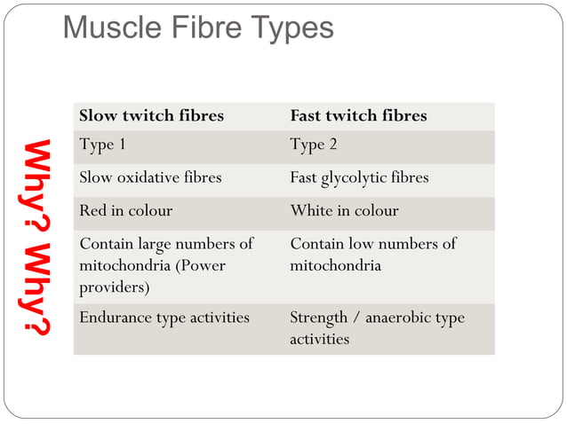 Muscle fibre types | PPT