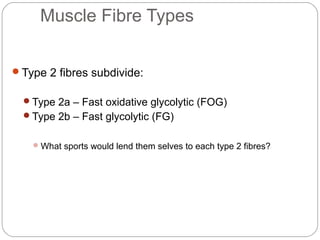Muscle fibre types | PPT