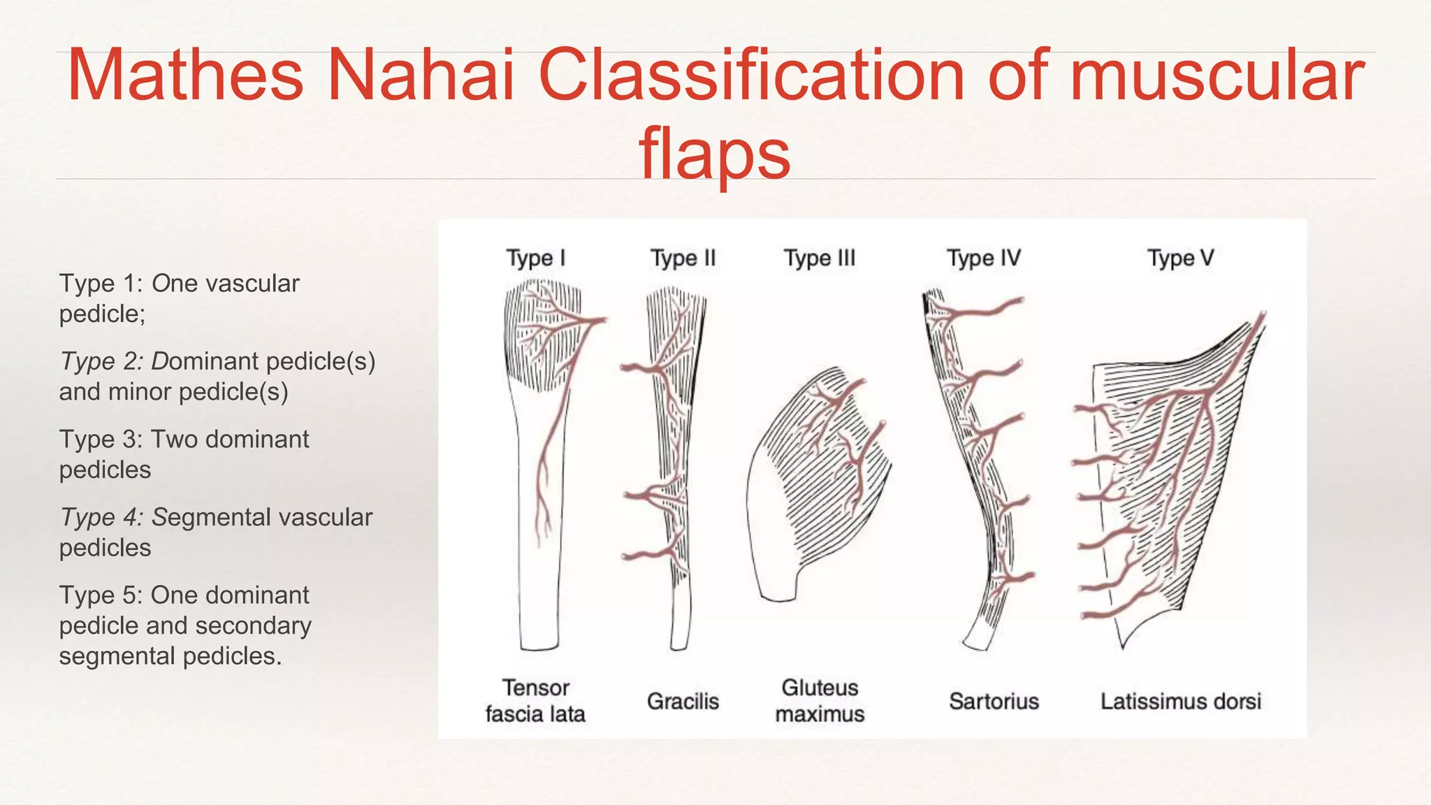 Muscle flaps and their blood supply.pptx