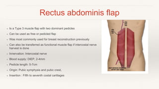Muscle flaps and their blood supply.pptx | Death, Injury, or Military ...