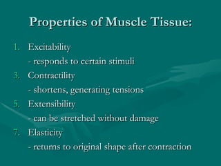 muscle formation by fleets_bybe | PPT | Physical Therapy | Wellness