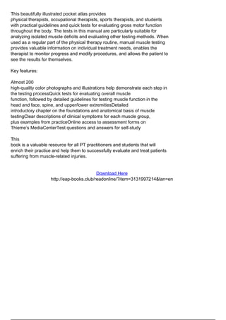 Muscle function testing a visual guide pdf | PDF | Physical Therapy ...