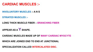 muscle general anatomy by anatomist boke | PPTX