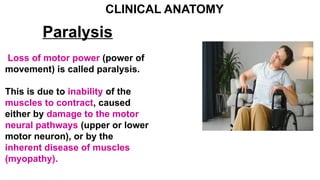 muscle general anatomy by anatomist boke | PPTX