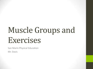 Muscle Groups and Exercises | PPTX