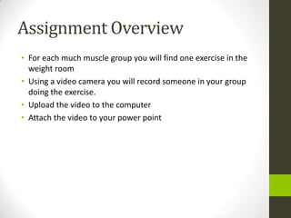 Muscle Groups and Exercises | PPTX