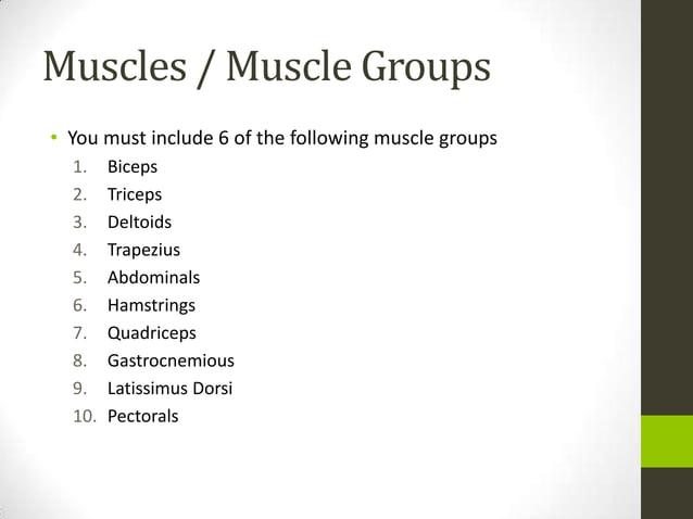 Muscle Groups and Exercises | PPTX | Fitness and Exercise | Healthy Living