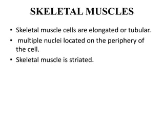 muscle Histo.ppt