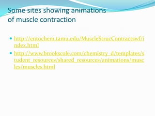 mbbs ims msu | PDF | Physical Therapy | Wellness