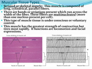 mbbs ims msu | PDF | Physical Therapy | Wellness