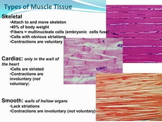 mbbs ims msu | PDF | Physical Therapy | Wellness
