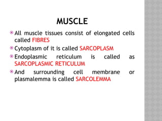 MUSCLE HISTOLOGY.pptx by Muhammad shafiq | PPTX