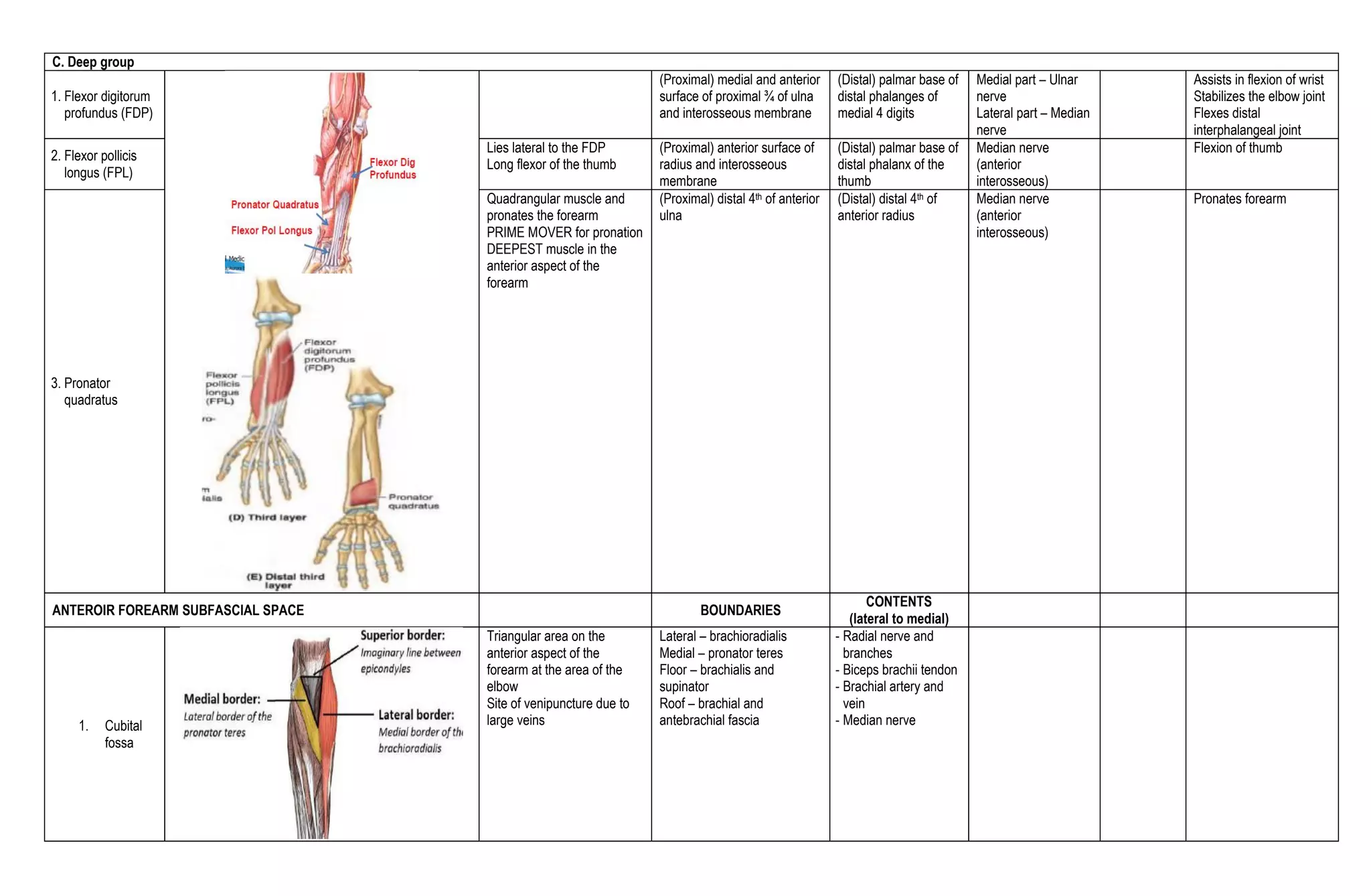 MUSCLE_ILLUSTRATION_DESCRIPTION_ORIGIN_I.pdf