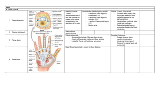 MUSCLE_ILLUSTRATION_DESCRIPTION_ORIGIN_I.pdf
