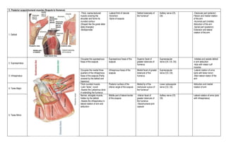 MUSCLE_ILLUSTRATION_DESCRIPTION_ORIGIN_I.pdf