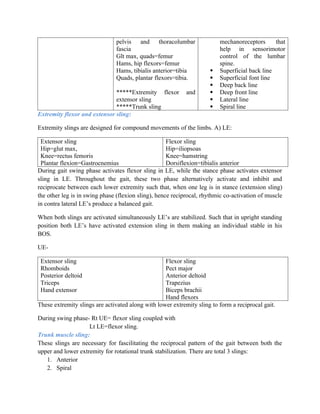 Muscle imbalance | PDF