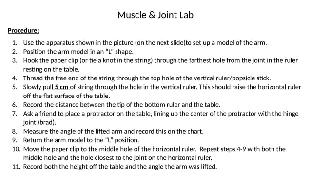 Muscle and Joint Lab.pptx upper extremity | PPT