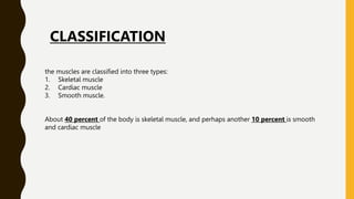 muscle lec | PPTX | Physical Therapy | Wellness