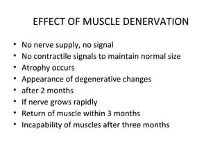 Muscle lecture 5 | PPT