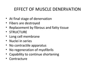 Muscle lecture 5 | PPT