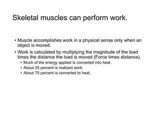 Muscle lectures (1).ppt