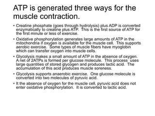 Muscle lectures (1).ppt