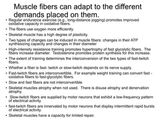 Muscle lectures (1).ppt