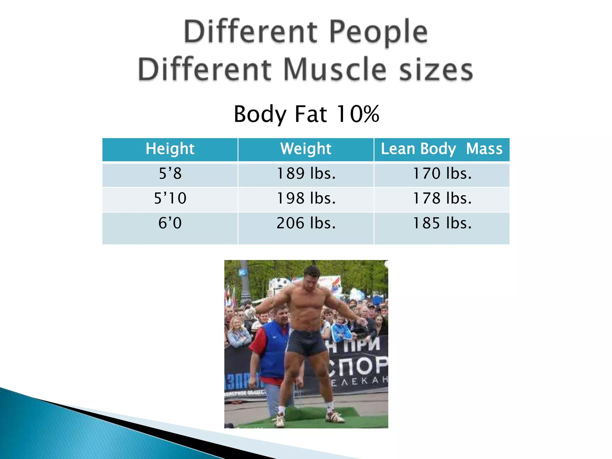 Muscle limits | PPTX | Endocrine and Metabolic Diseases | Diseases and ...