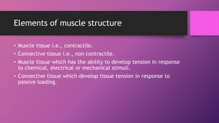 Muscle mechanics | PPTX