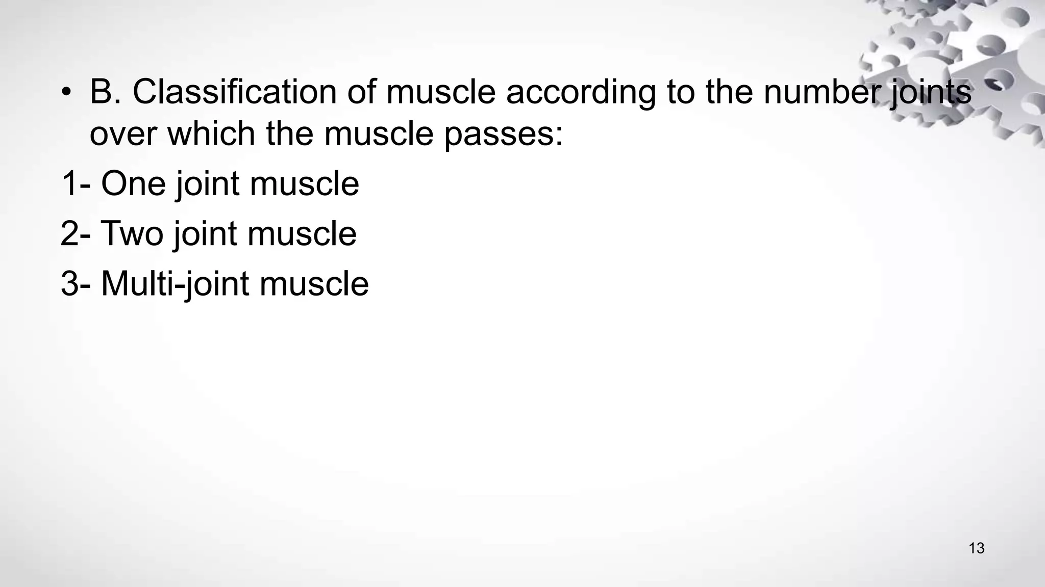 Muscle Mechanics.pptx