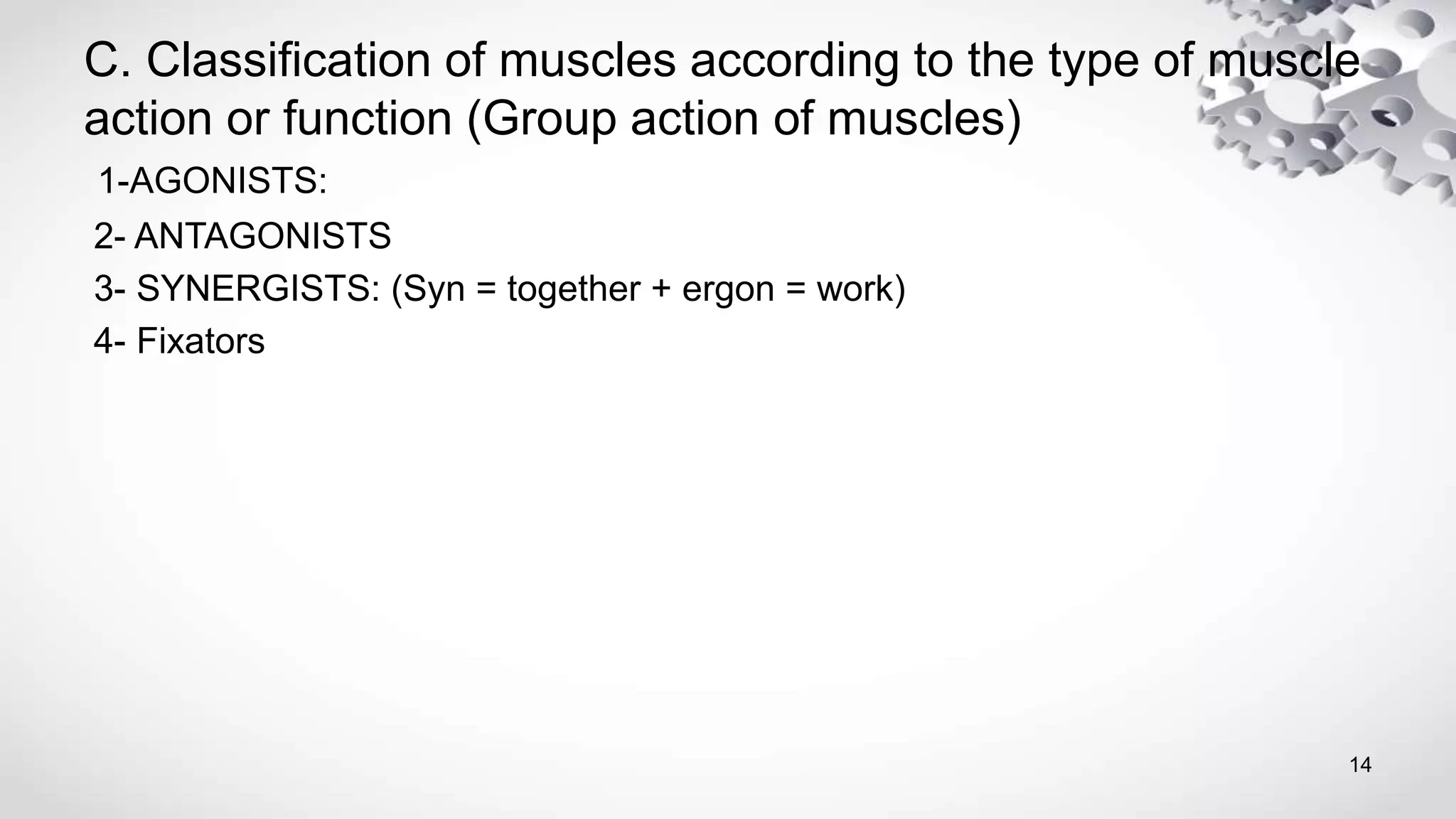 Muscle Mechanics.pptx