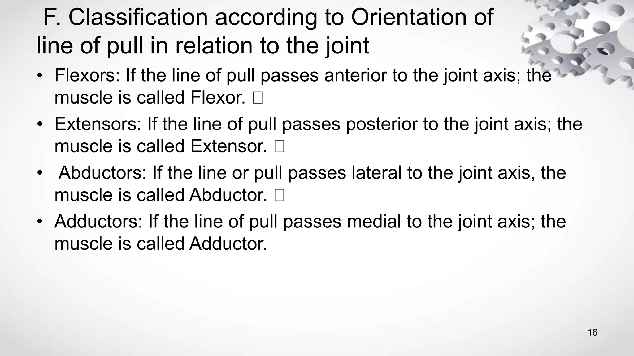 Muscle Mechanics.pptx